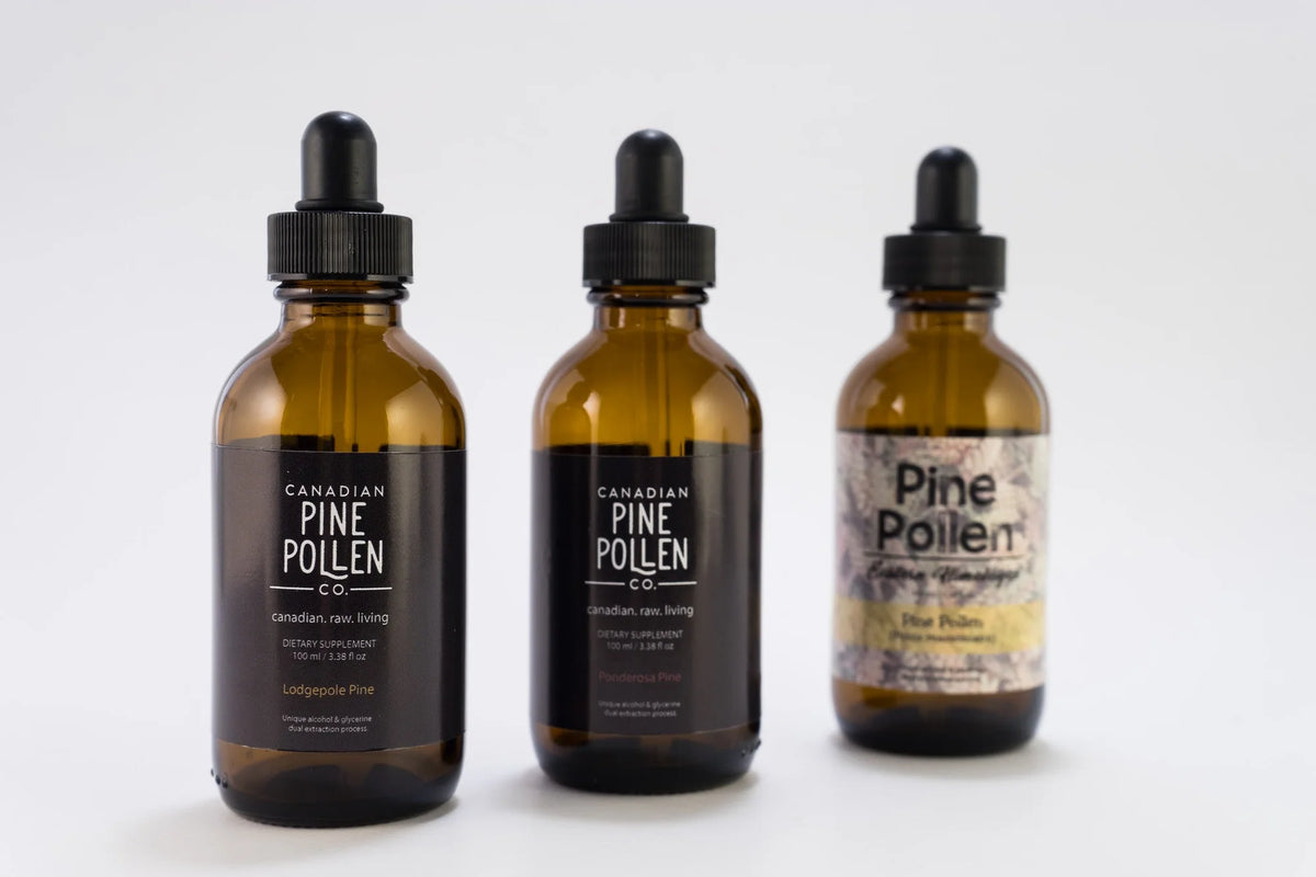 Pine Pollen Tinctures - Facts You Need to Know - Canadian Pine Pollen ...