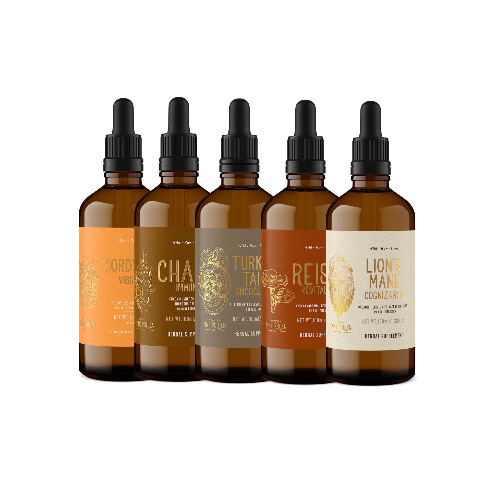 Wild Mushroom Tincture 5-pack; Certified Organic 1:4 Dual Extract-250m ...