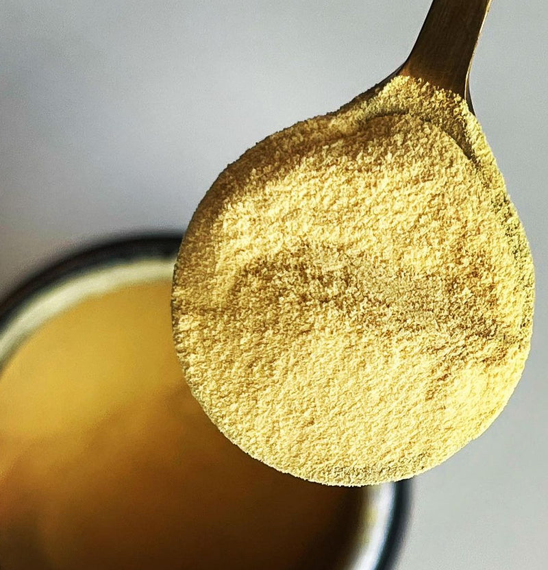 Lodgepole Pine Pollen Powder - 70g (2.74 oz) | Canadian Pine Pollen Co ...