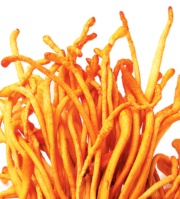 High Potency Cordyceps Tincture dual extract- Organic Fruiting body- 1 ...