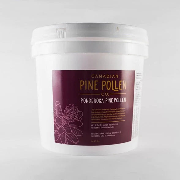 BULK Ponderosa Pine Pollen - 1kg (2.2lbs.) | Canadian Pine Pollen Co ...
